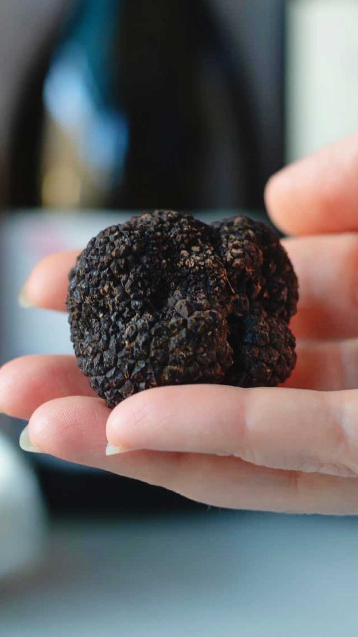 Truffle Salt | How To - Whole Natural Kitchen